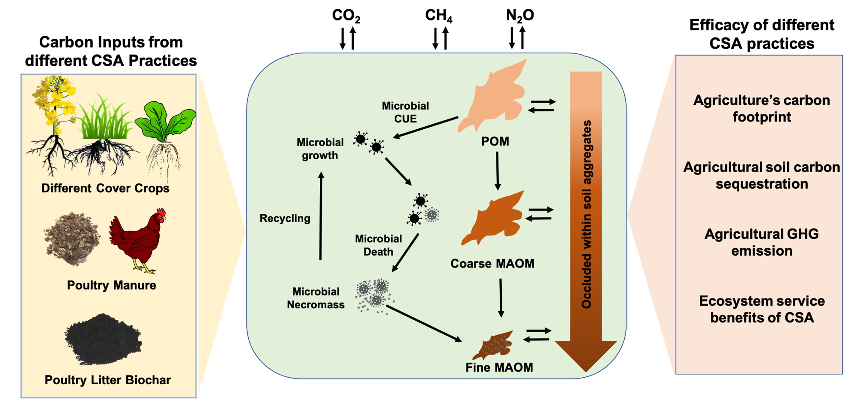 Measuring & modeling agricultural carbon sequestration through a ...